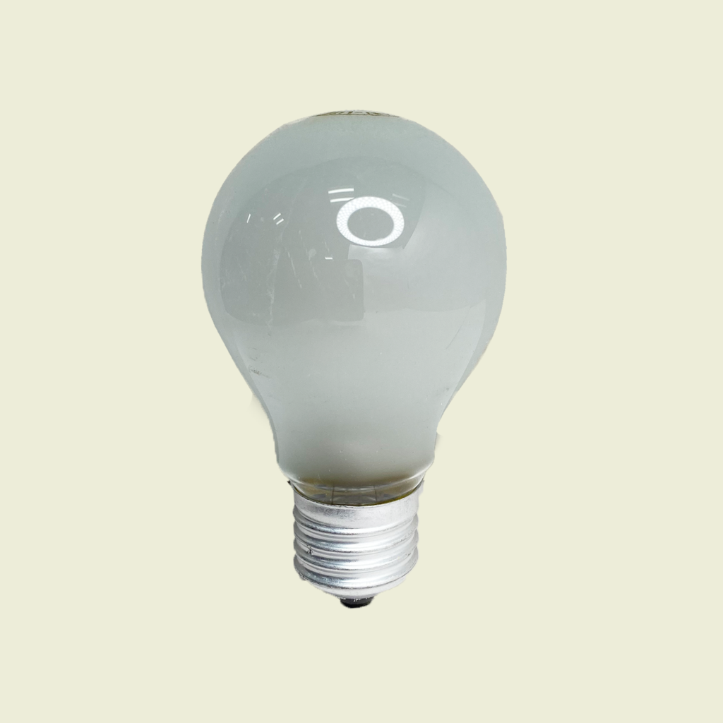 Radiant-Lite 40W Appliance Bulb • Samaroo's Materials & General LTD