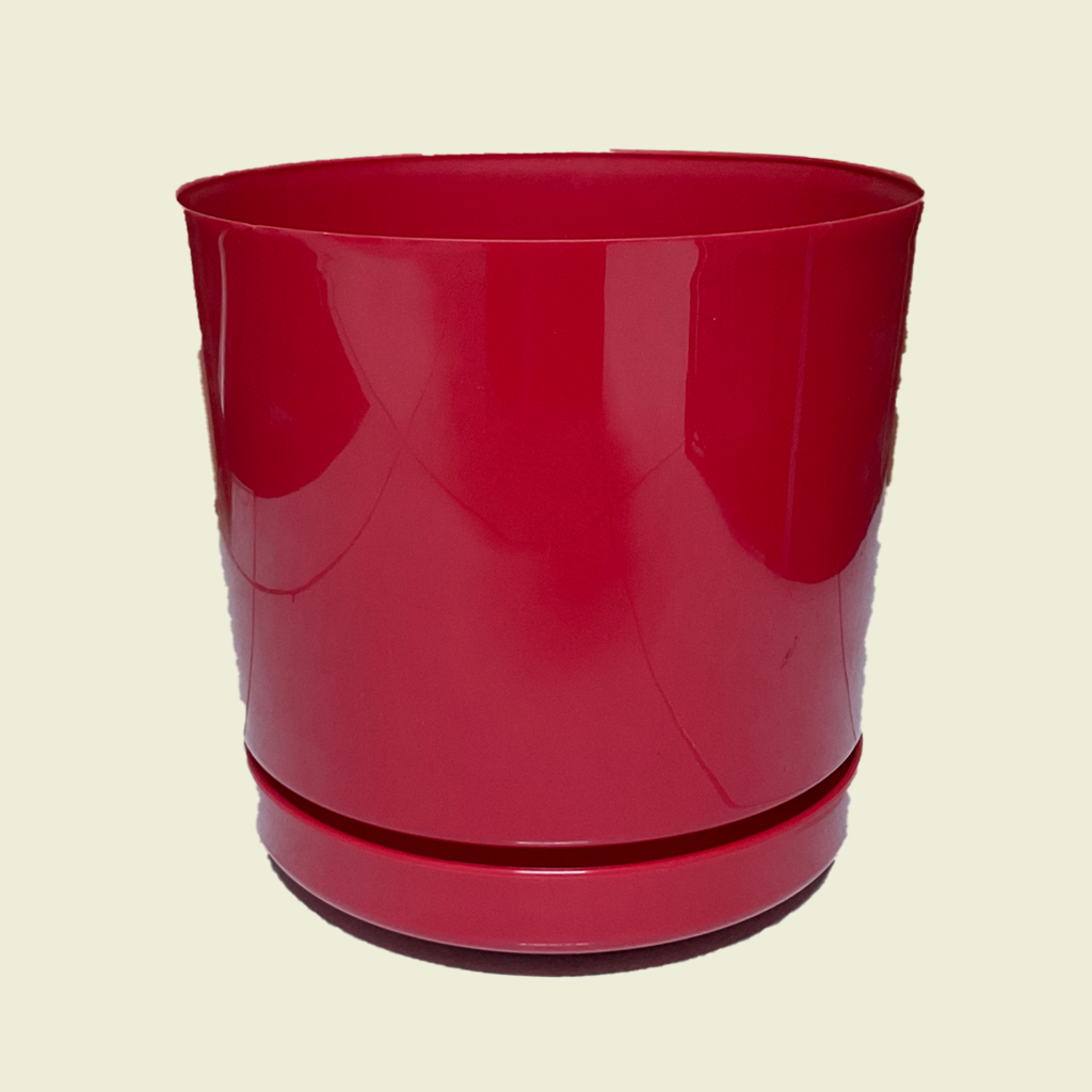 12″ Hot Pepper Red Plant Pot • Samaroo's Materials & General LTD