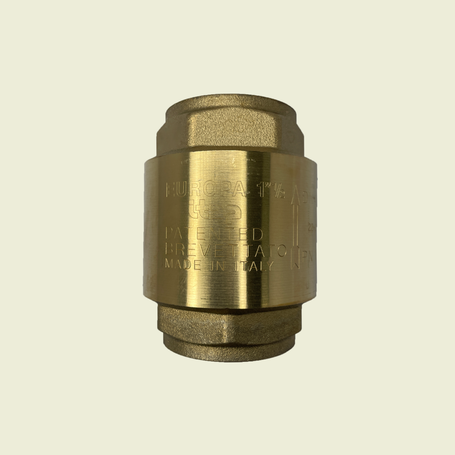 Europa Brass Spring Check Valve 1½” • Samaroo's Materials & General LTD