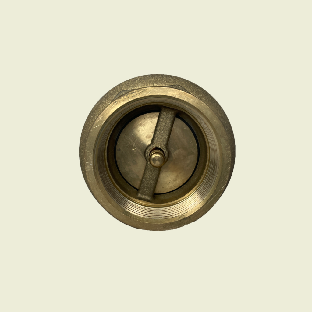 Europa Spring Check Valve 2″ • Samaroo's Materials & General LTD